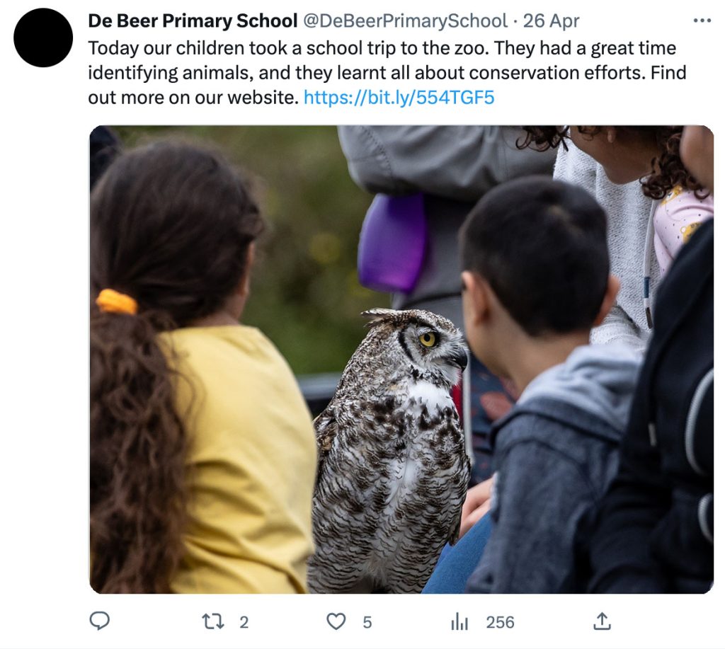 Twitter vs School Websites – De Beer Digital